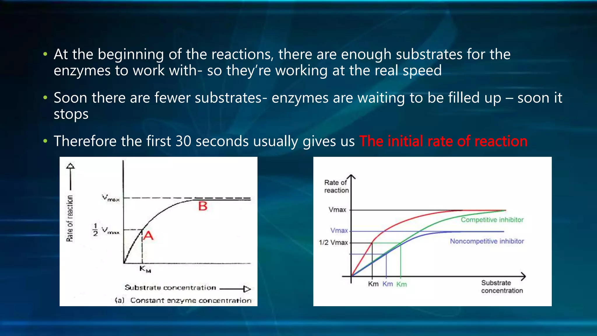 Comparing Enzyme Affinity (1) (1).pptx