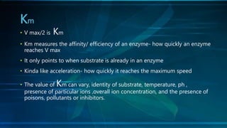 Comparing Enzyme Affinity (1) (1).pptx