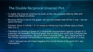 Comparing Enzyme Affinity (1) (1).pptx