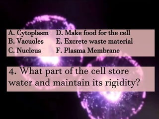 Comparing plant and animal cell | PPT