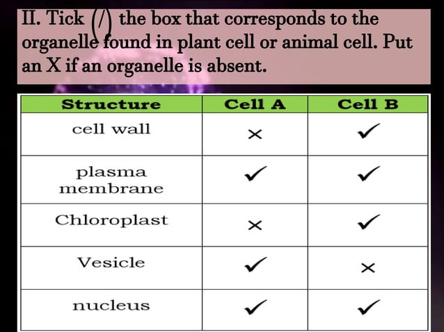 Comparing plant and animal cell | PPT | Biological Sciences | Science