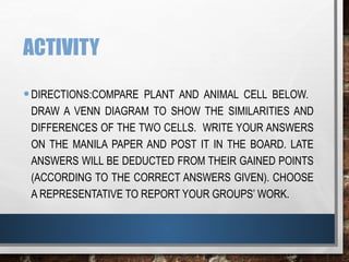 Comparing Plant And Animhhhhal Cells.pptx