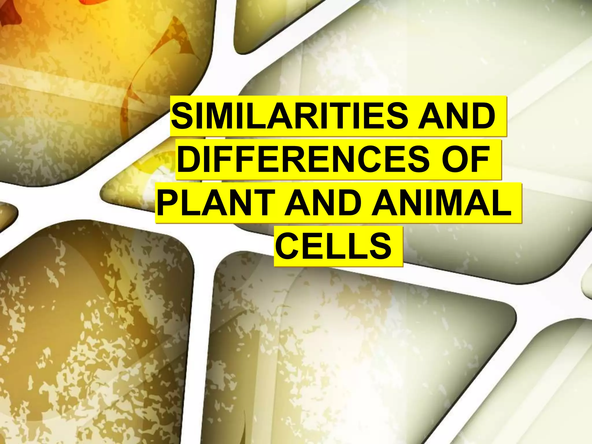 COMPARING PLANT CELL AND ANIMAL CELL (grade 7)ppt.pptx | Biological ...