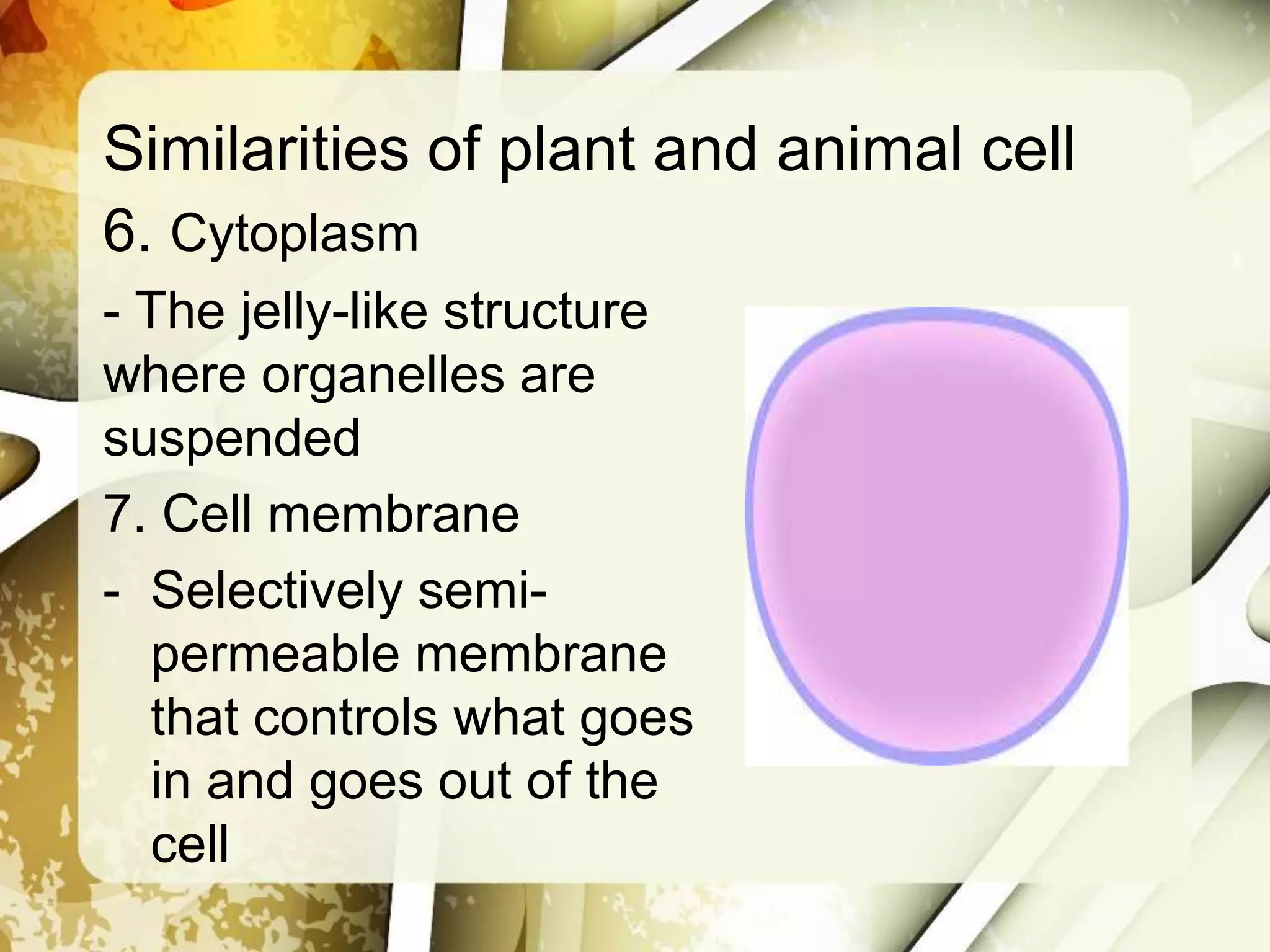COMPARING PLANT CELL AND ANIMAL CELL (grade 7)ppt.pptx
