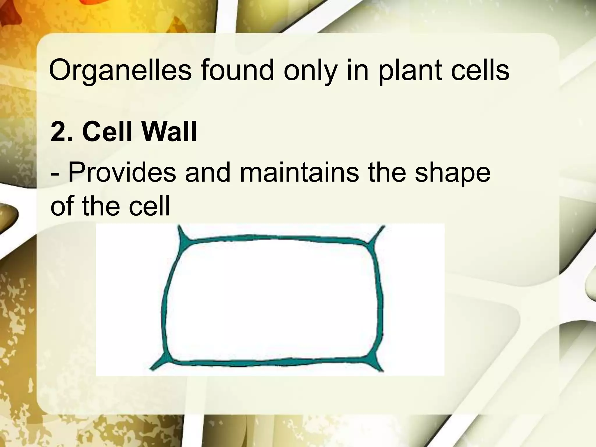 COMPARING PLANT CELL AND ANIMAL CELL (grade 7)ppt.pptx