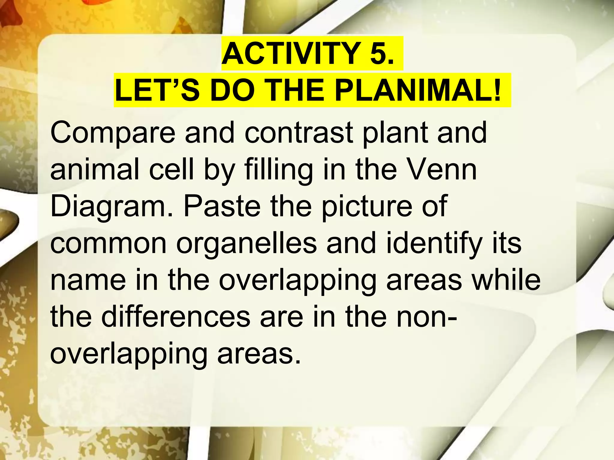 COMPARING PLANT CELL AND ANIMAL CELL (grade 7)ppt.pptx | Biological ...