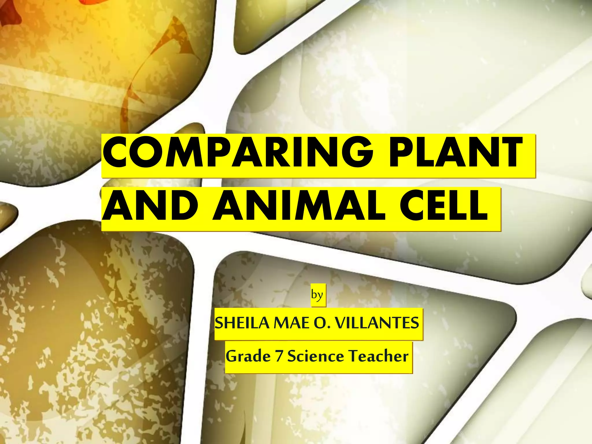 COMPARING PLANT CELL AND ANIMAL CELL (grade 7)ppt.pptx