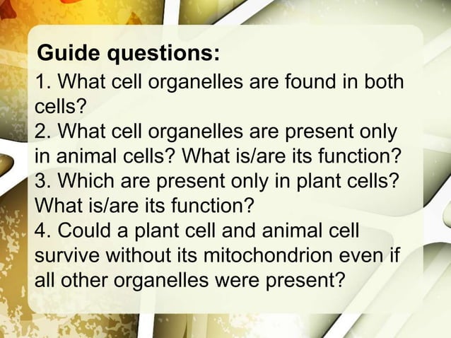 COMPARING PLANT CELL AND ANIMAL CELL (grade 7)ppt.pptx | Biological ...