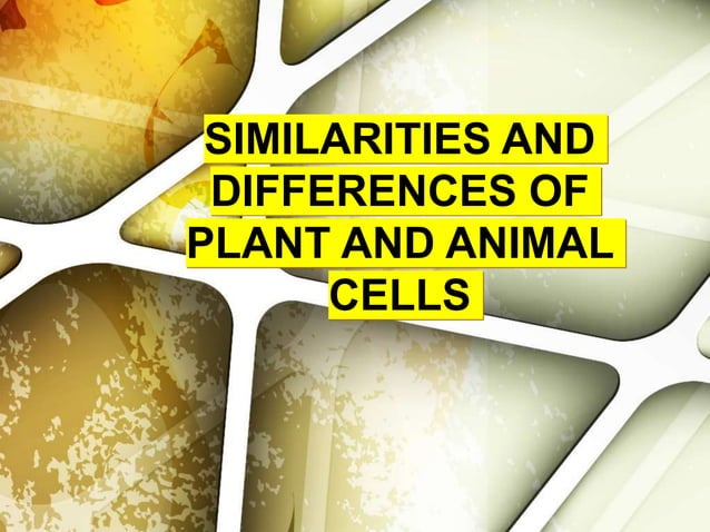 COMPARING PLANT CELL AND ANIMAL CELL (grade 7)ppt.pptx | Biological ...
