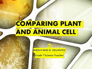COMPARING PLANT CELL AND ANIMAL CELL (grade 7)ppt.pptx