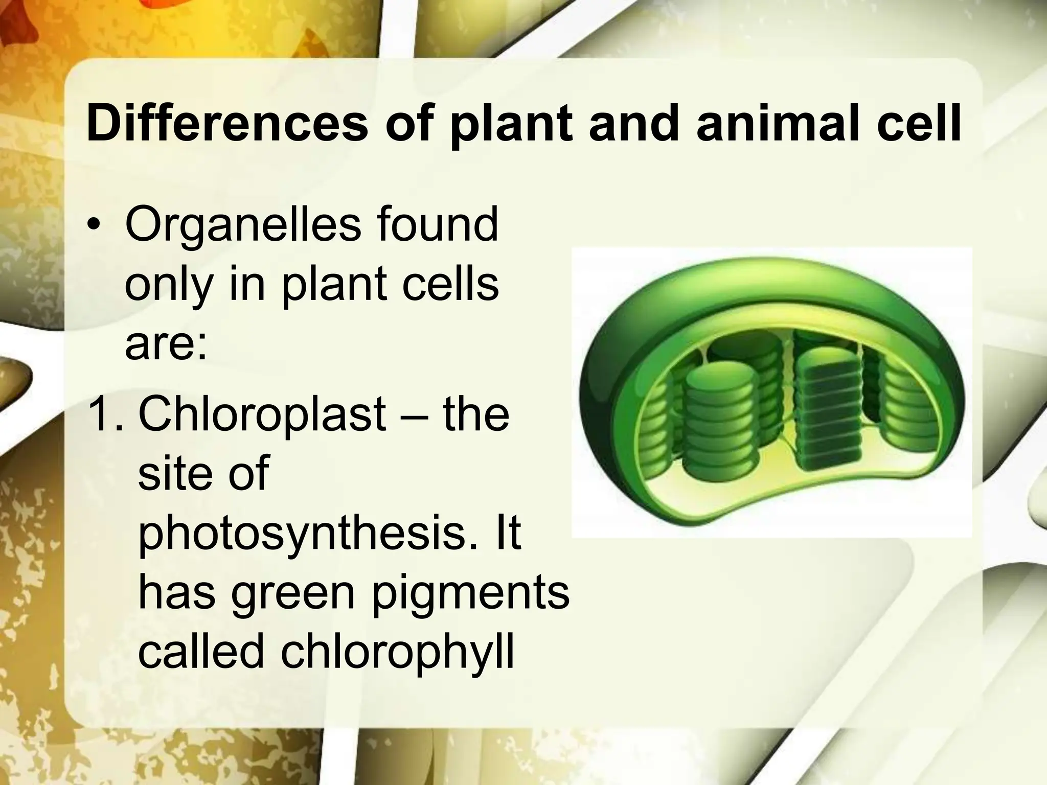 COMPARING PLANT CELL AND ANIMAL CELL ppt.pptx