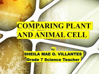 COMPARING PLANT CELL AND ANIMAL CELL ppt.pptx