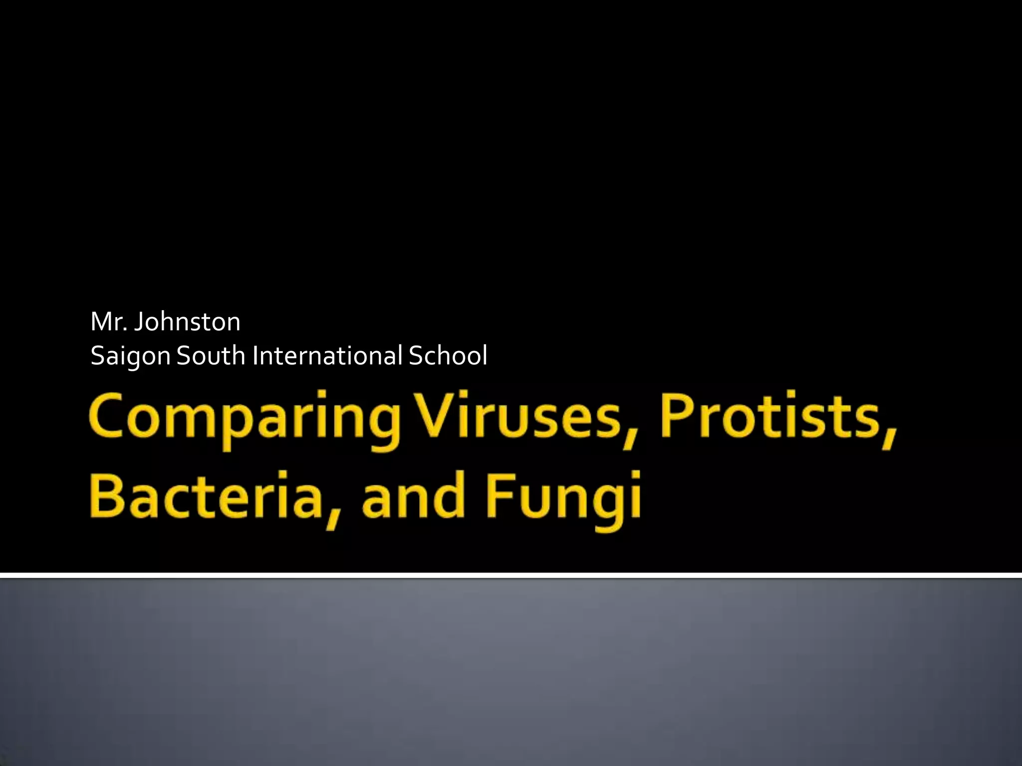 Comparing viruses, protists, bacteria, and | PPTX