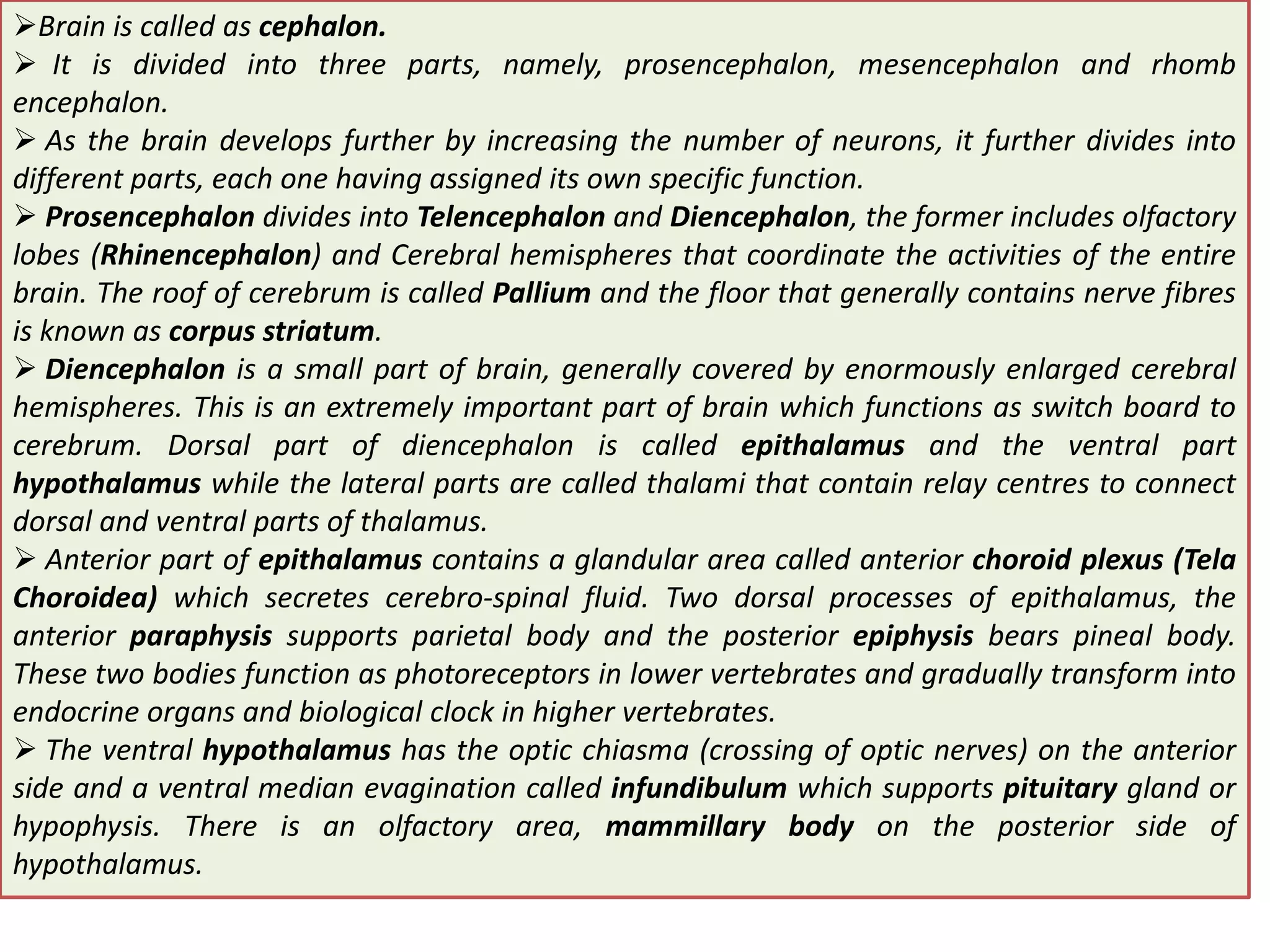 Comparision of brain in vertebrates | PPTX