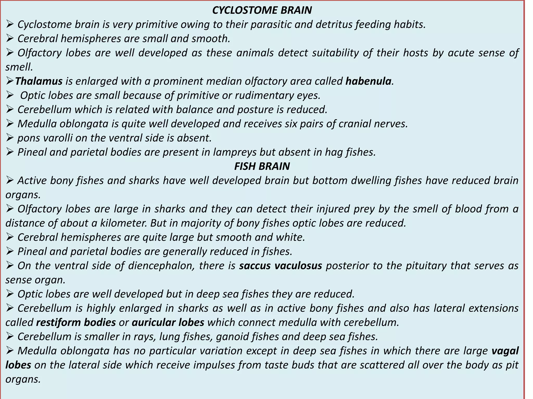 Comparision of brain in vertebrates | PPTX