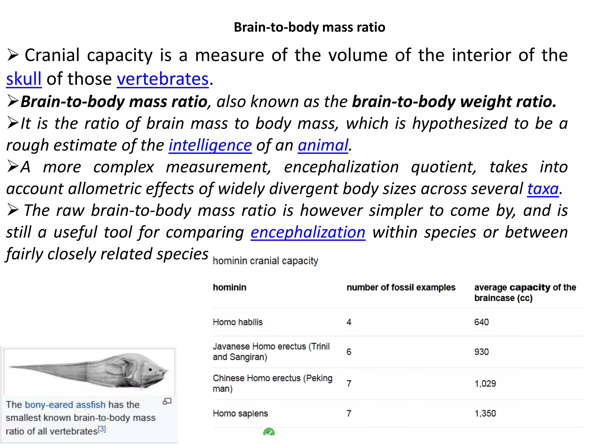 Comparision of brain in vertebrates | PPTX