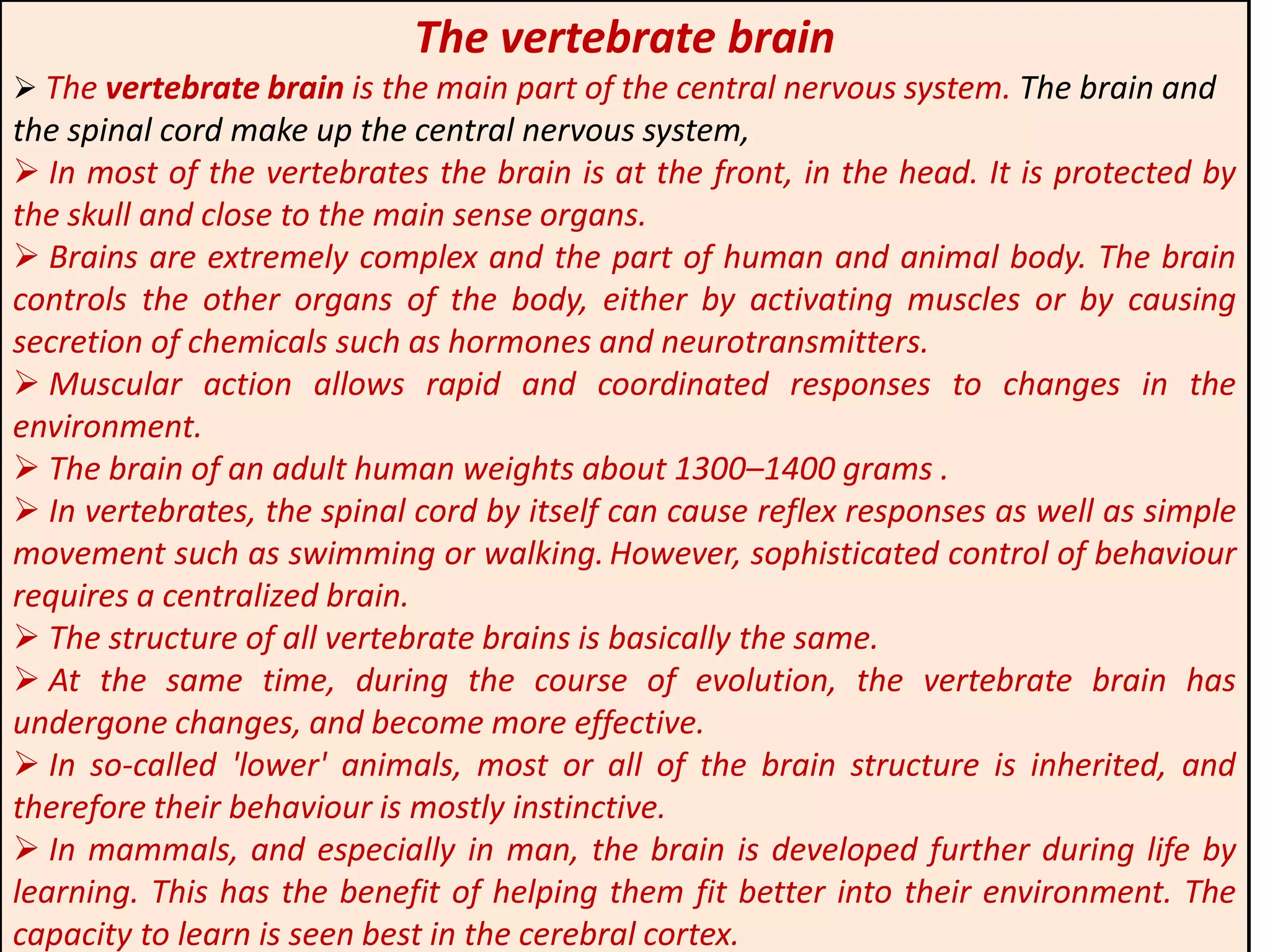 Comparision of brain in vertebrates | PPTX