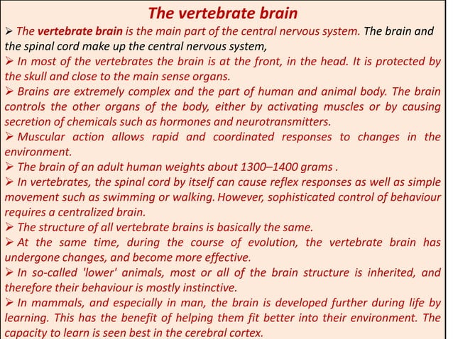 Comparision of brain in vertebrates | PPTX | Brain and Nervous System ...