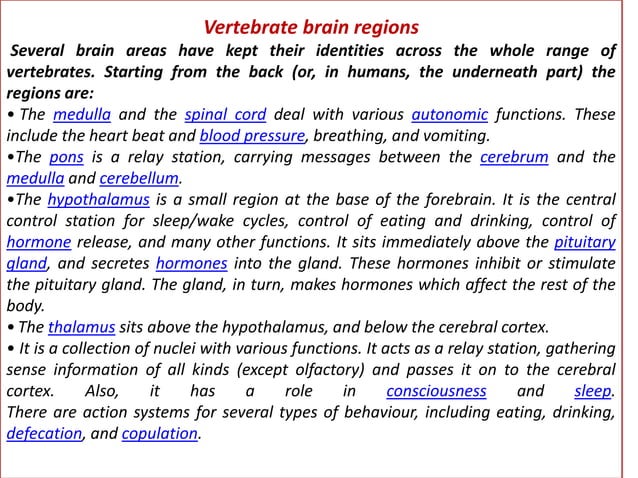 Comparision of brain in vertebrates | PPTX | Brain and Nervous System ...
