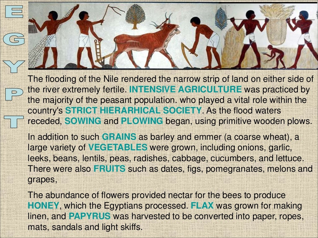 Comparison of-ancient-civilizations