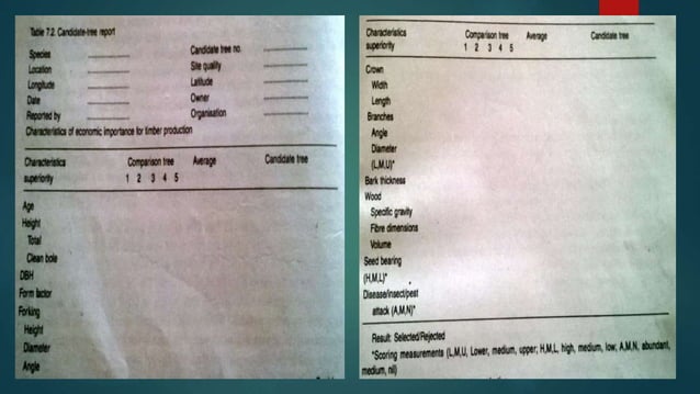 Comparison tree method of selection | PPTX | Gardening | Home & Garden
