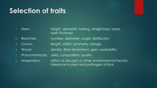 Comparison tree method of selection | PPTX