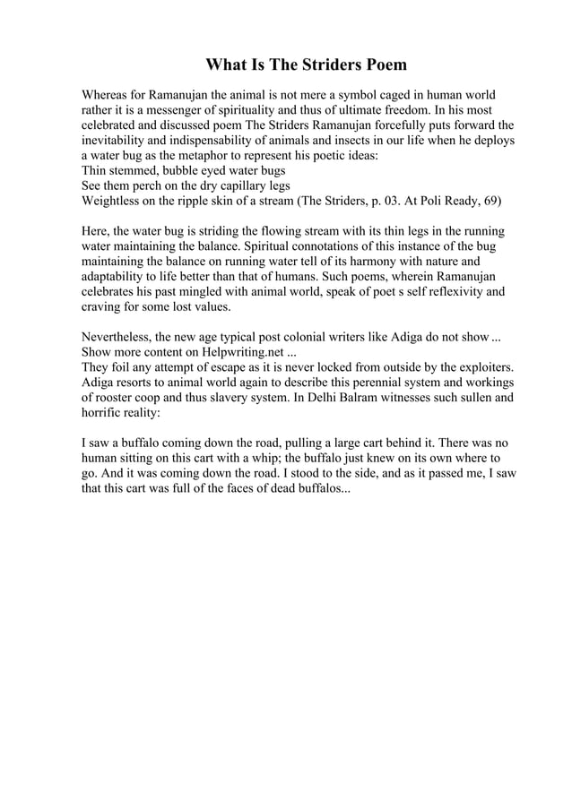 Comparison And Contrast Essay Outline Examples.pdf