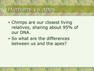 comparison ape and human skeleton 15B.ppt | Biological Sciences | Science