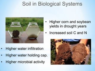 Comparison between Conventional and Organic farming | PDF