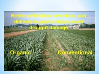 Comparison between Conventional and Organic farming | PDF