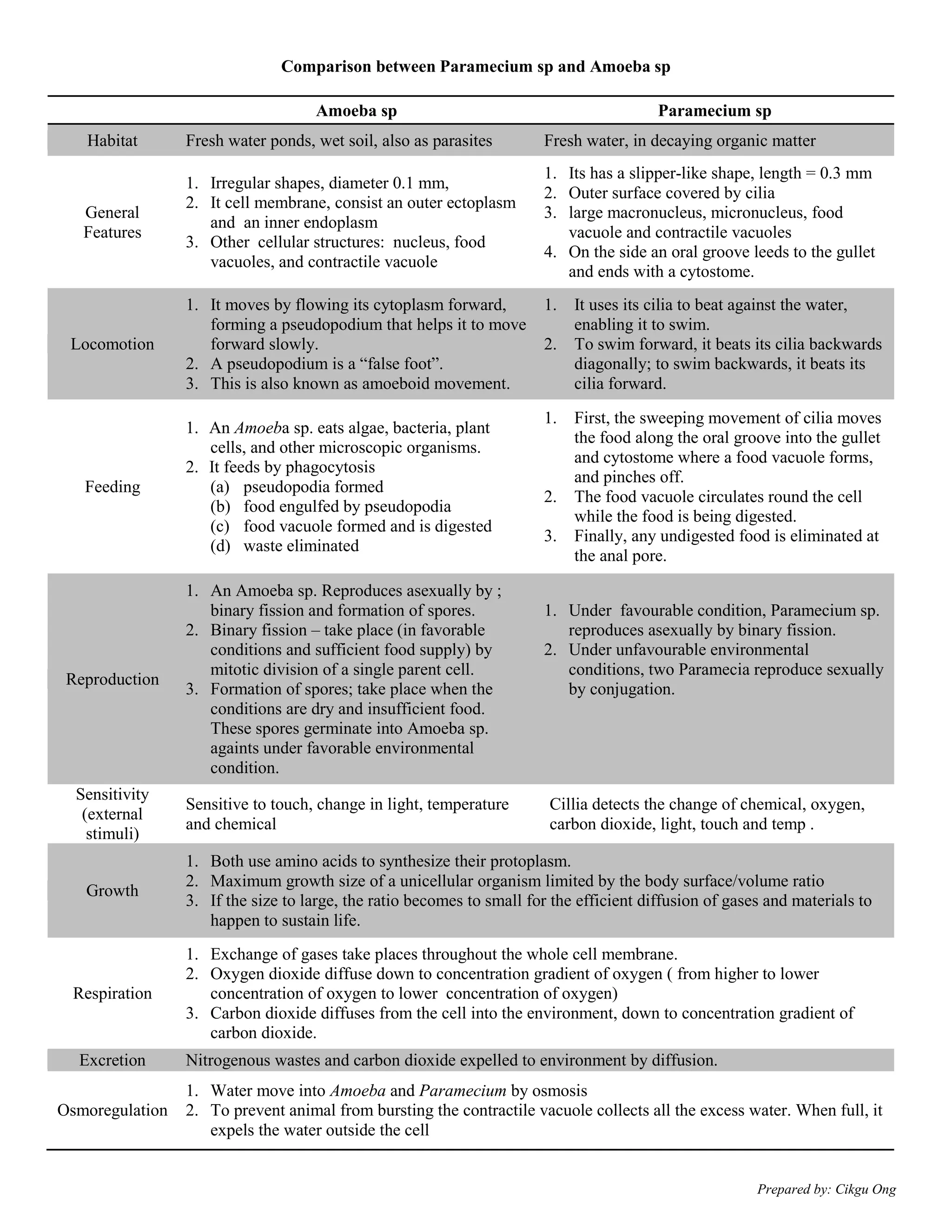 Comparison between paramecium sp and amoeba sp | PDF