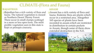 Comparison between rajasthan and assam BY Jaiditya Singh Shekhawat | PPTX