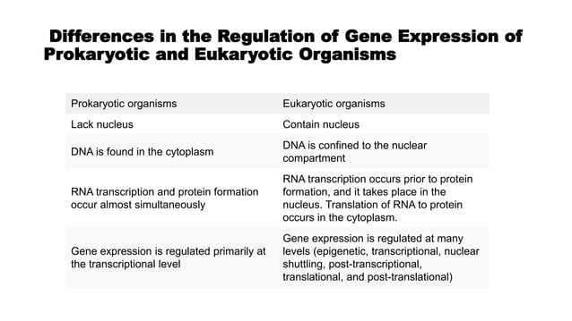 Comparison between the regulation of gene expression in prokaryotes and ...