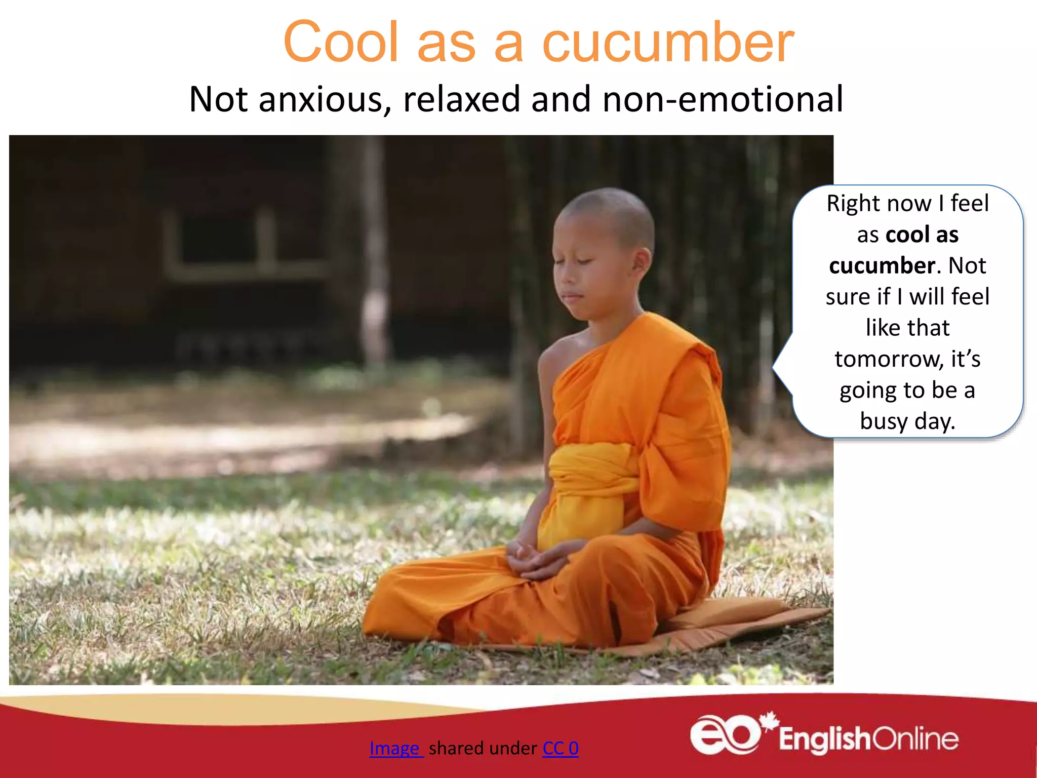 Comparison idioms | PPT