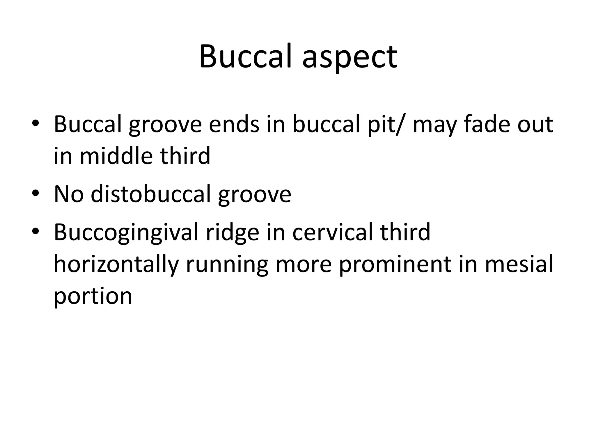 mandibular second molars | PPTX