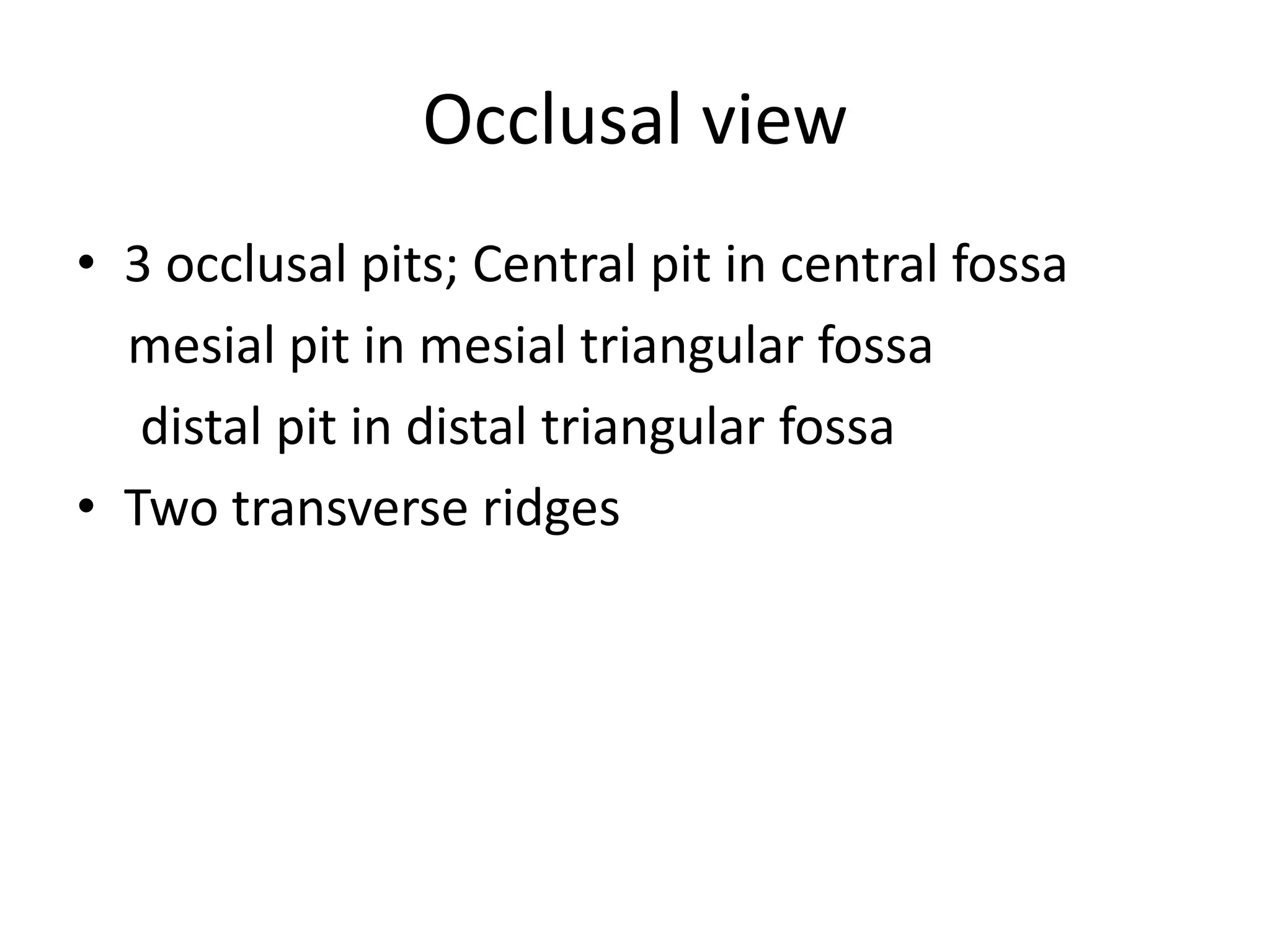 mandibular second molars | PPTX