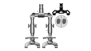 Comparison Microscope its principle , history and development ppt | PPTX