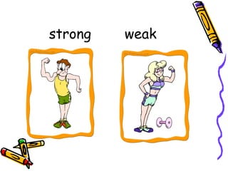 Comparison of adjectives form 4 | PPT