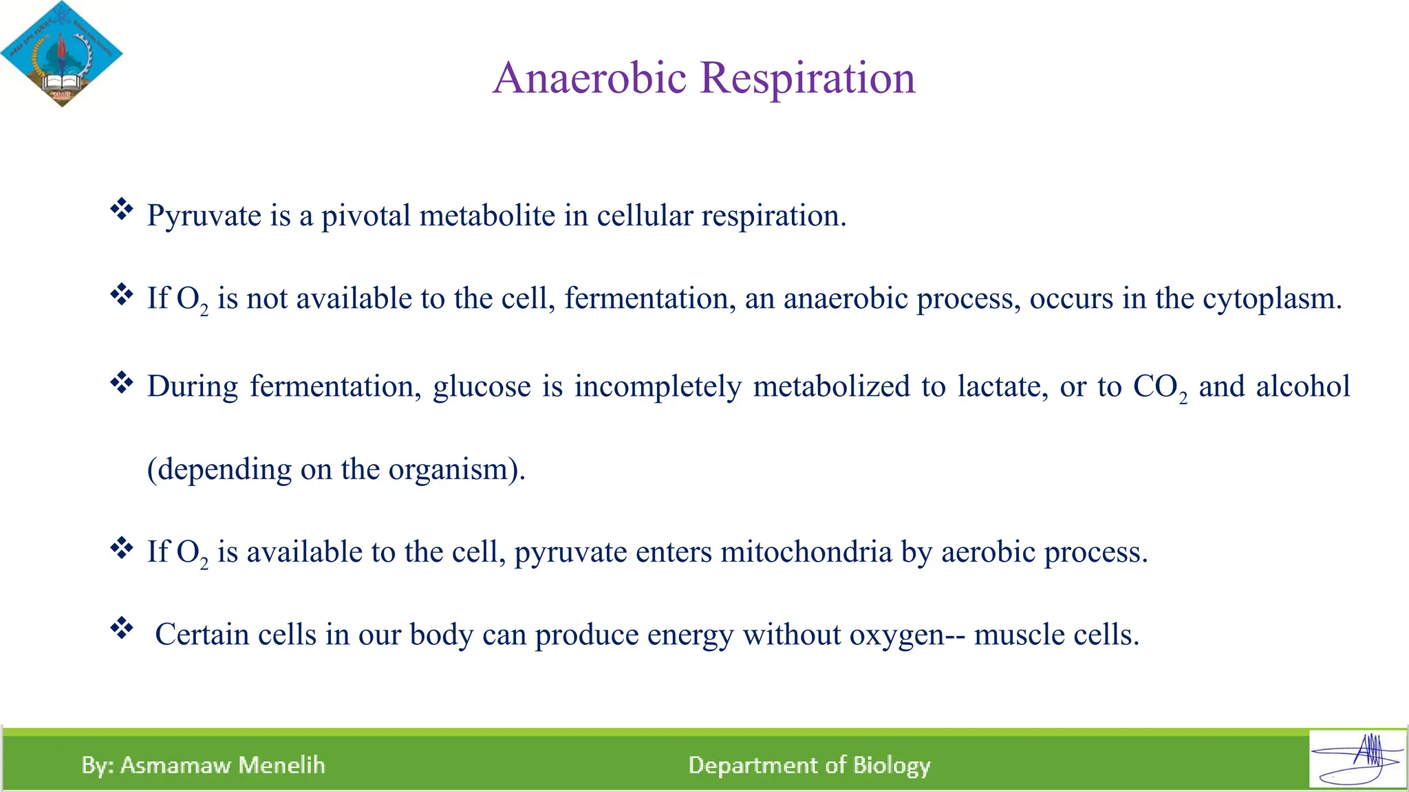 comparison of aerobiac and anaerobic respiration ppt.pptx