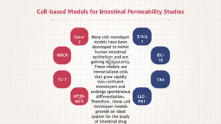 Comparison of caco 2 with other cell-based models for intestinal ...