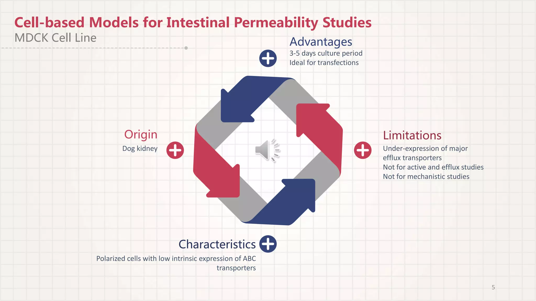 Caco-2 Permeability Assay | PPTX