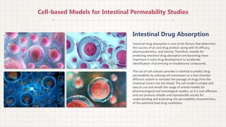 Caco-2 Permeability Assay | PPTX