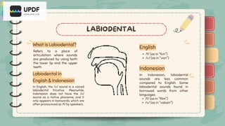 Comparison of English and Indonesian Consonants.pdf