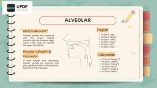 Comparison of English and Indonesian Consonants.pdf