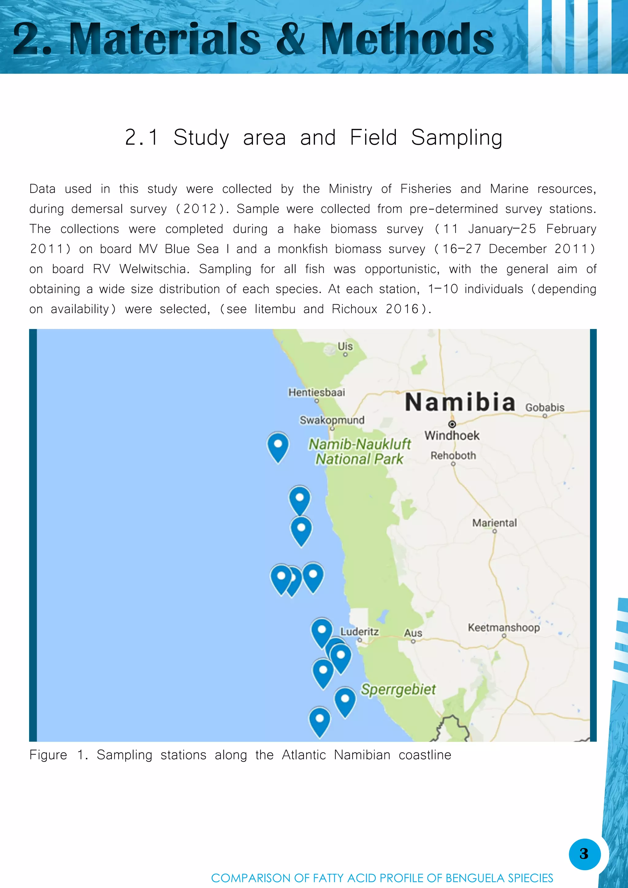 Comparison of Fatty acids profile of Marine species off Namibia | PDF