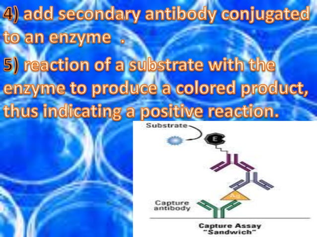 Comparison of hormonal assay by ELISA , ELFA and ECL | PPTX | Endocrine ...