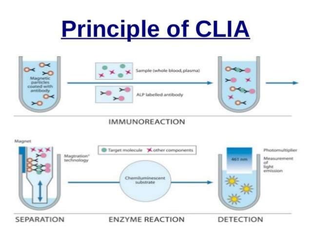 Comparison of hormonal assay by ELISA , ELFA and ECL | PPTX | Endocrine ...