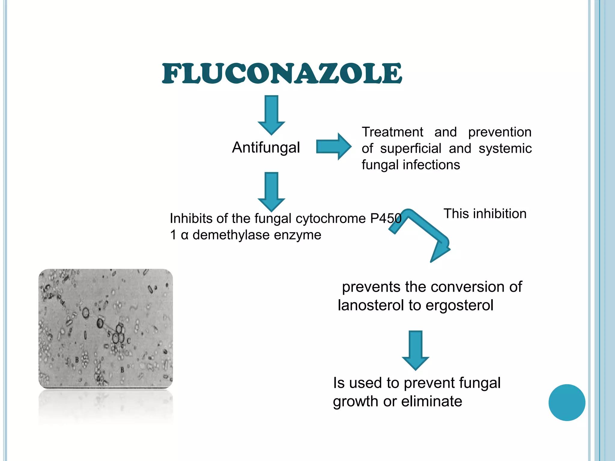 Comparison of human and soil candida tropicalis isolates | PPT