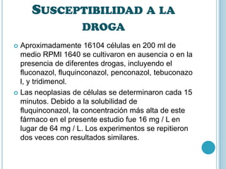 Comparison of human and soil candida tropicalis isolates | PPTX