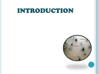 Comparison of human and soil candida tropicalis isolates | PPTX